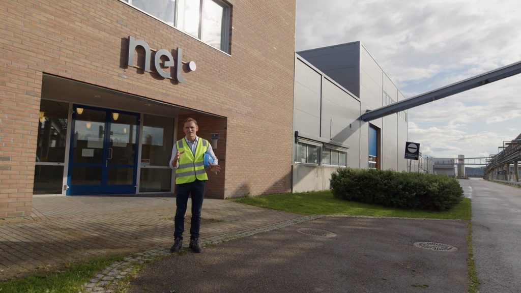 Z stack – Nel Display