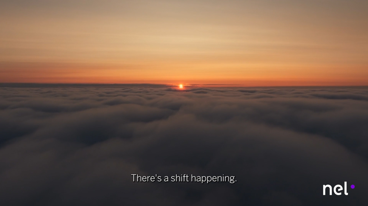 Z stack – Nel Display