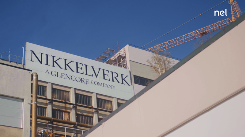 Z stack – Nel Display